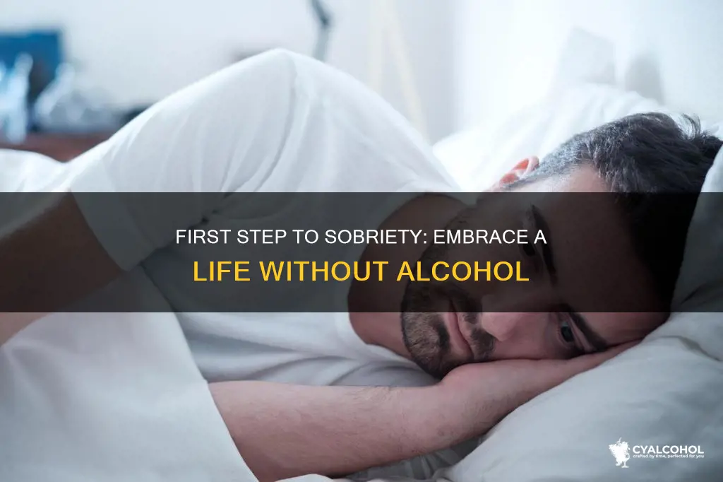 First Step To Sobriety: Embrace A Life Without Alcohol | CyAlcohol