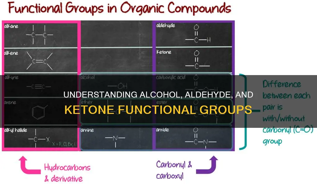 Understanding Alcohol, Aldehyde, And Ketone Functional Groups | CyAlcohol