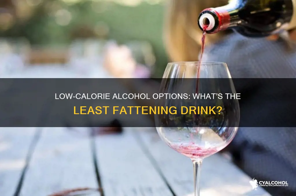Low-Calorie Alcohol Options: What’S The Least Fattening Drink? | CyAlcohol