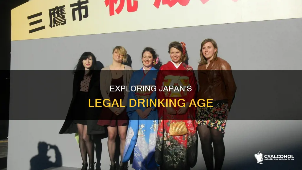 Exploring Japan's Legal Drinking Age | CyAlcohol