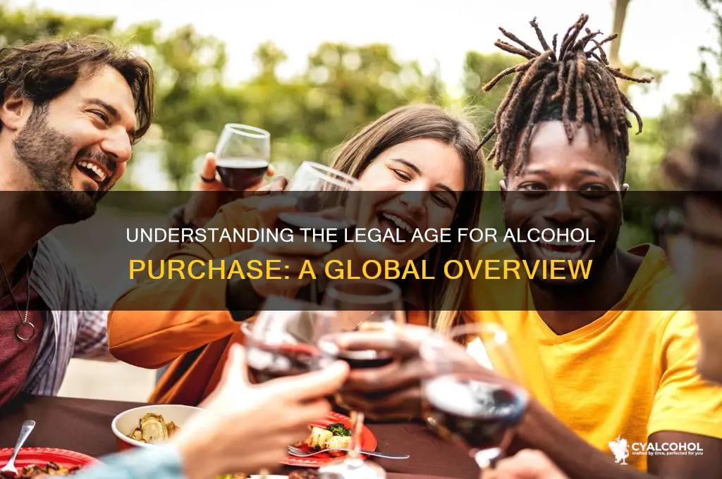 Understanding The Legal Age For Alcohol Purchase: A Global Overview ...