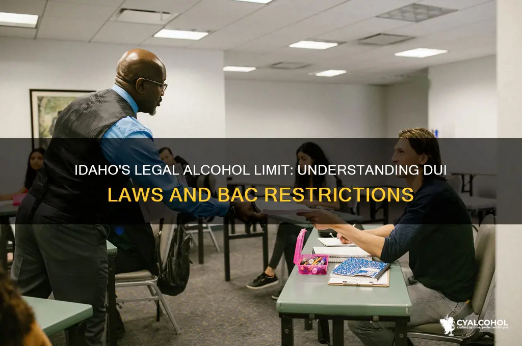 Idaho's Legal Alcohol Limit: Understanding Dui Laws And Bac ...