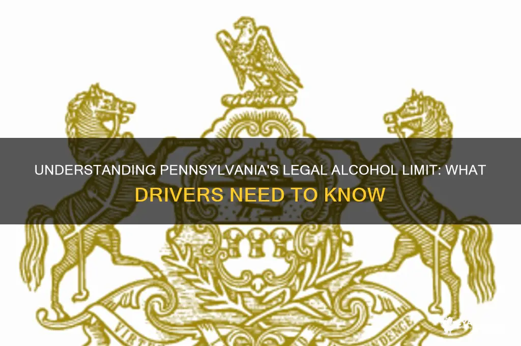 Understanding Pennsylvania's Legal Alcohol Limit: What Drivers Need To ...
