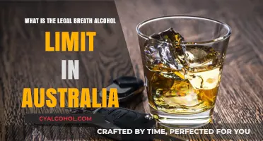 Idaho's Legal Alcohol Limit Explained | CyAlcohol