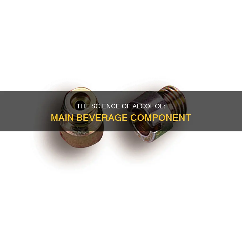 The Science Of Alcohol: Main Beverage Component | CyAlcohol