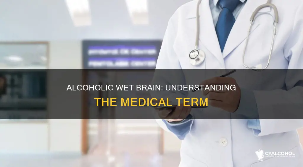 Alcoholic Wet Brain: Understanding The Medical Term | CyAlcohol