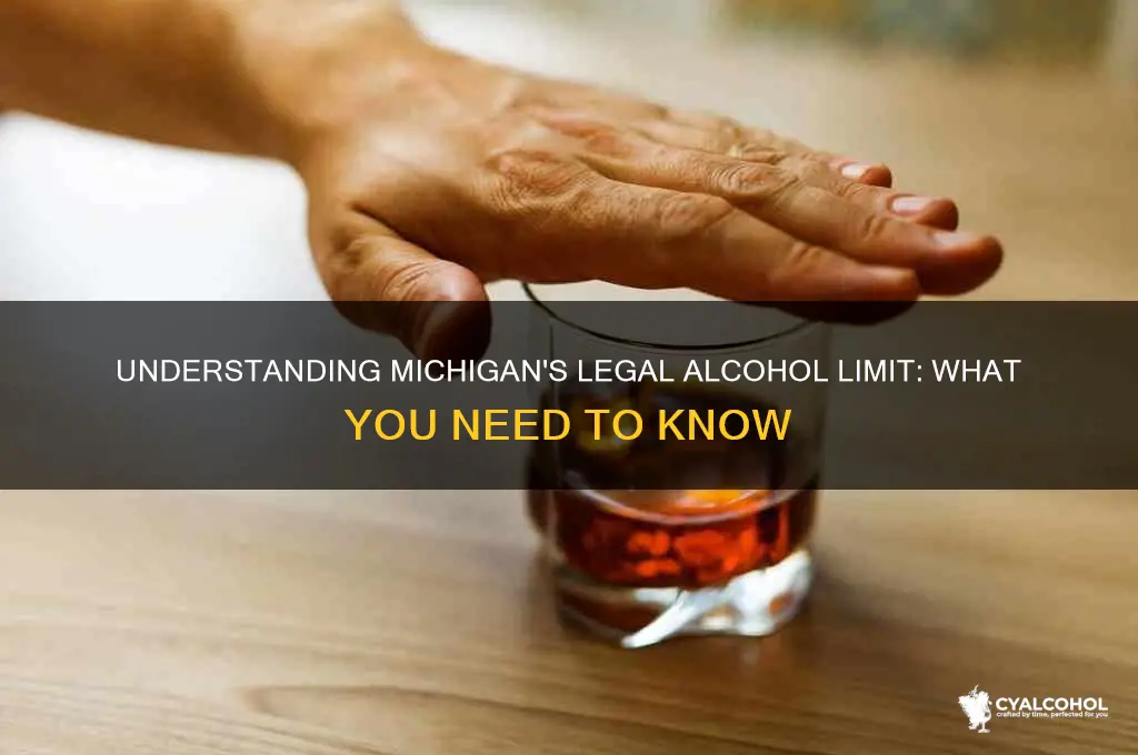 Understanding Michigan's Legal Alcohol Limit: What You Need To Know ...