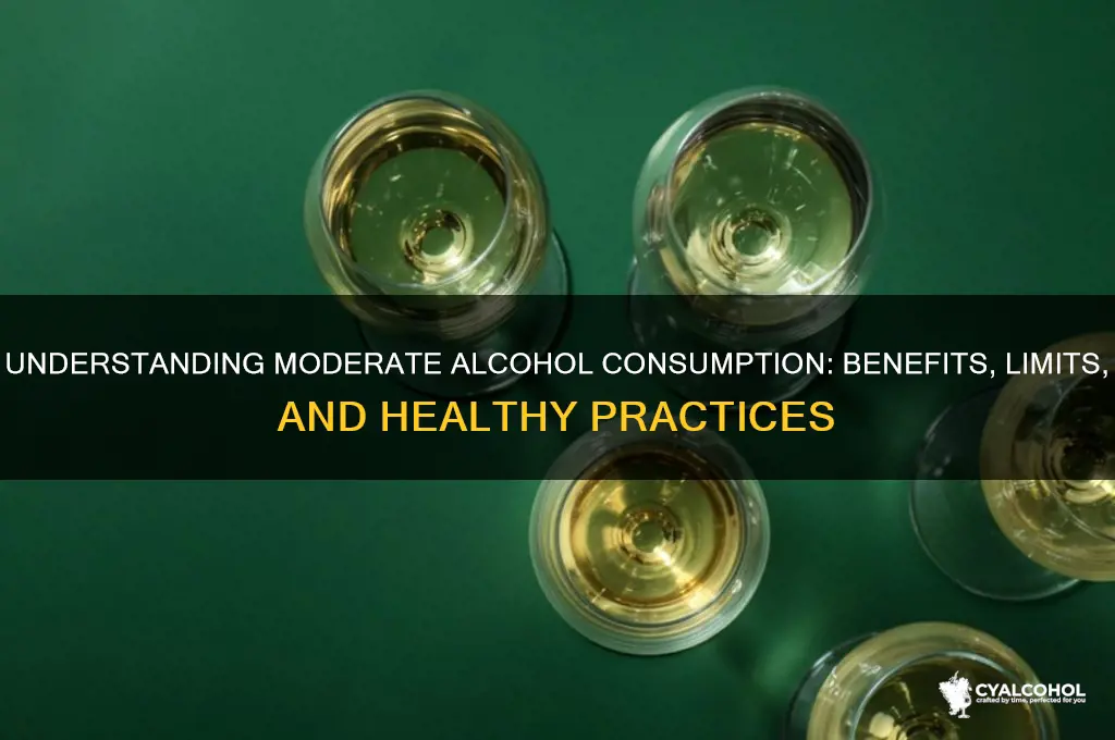Understanding Moderate Alcohol Consumption: Benefits, Limits, And ...
