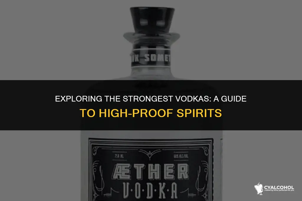 Exploring The Strongest Vodkas: A Guide To High-Proof Spirits | CyAlcohol
