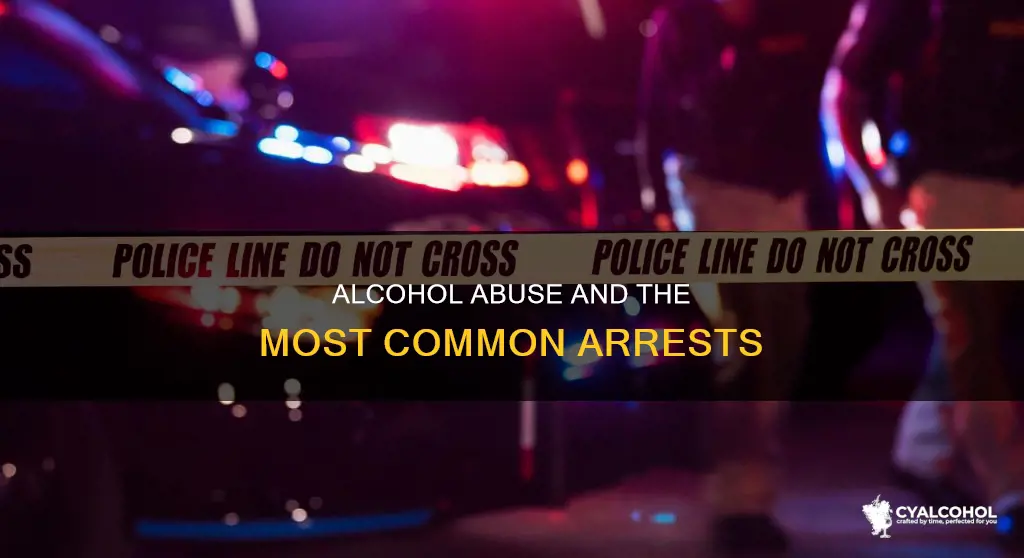 Alcohol Abuse And The Most Common Arrests | CyAlcohol