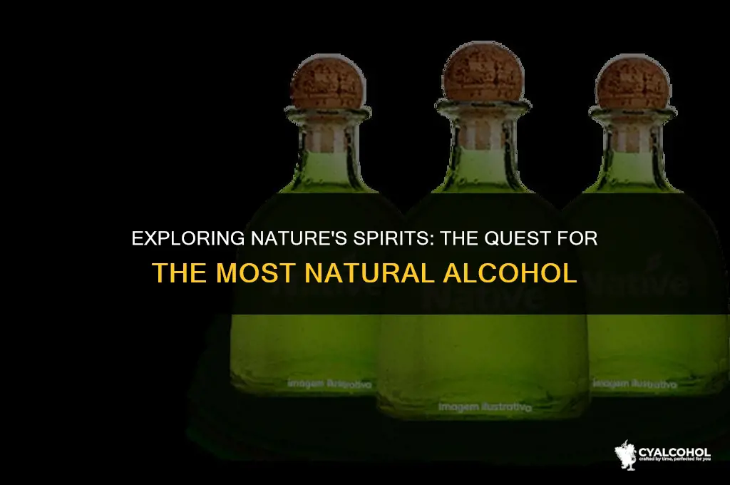 Exploring Nature's Spirits: The Quest For The Most Natural Alcohol ...