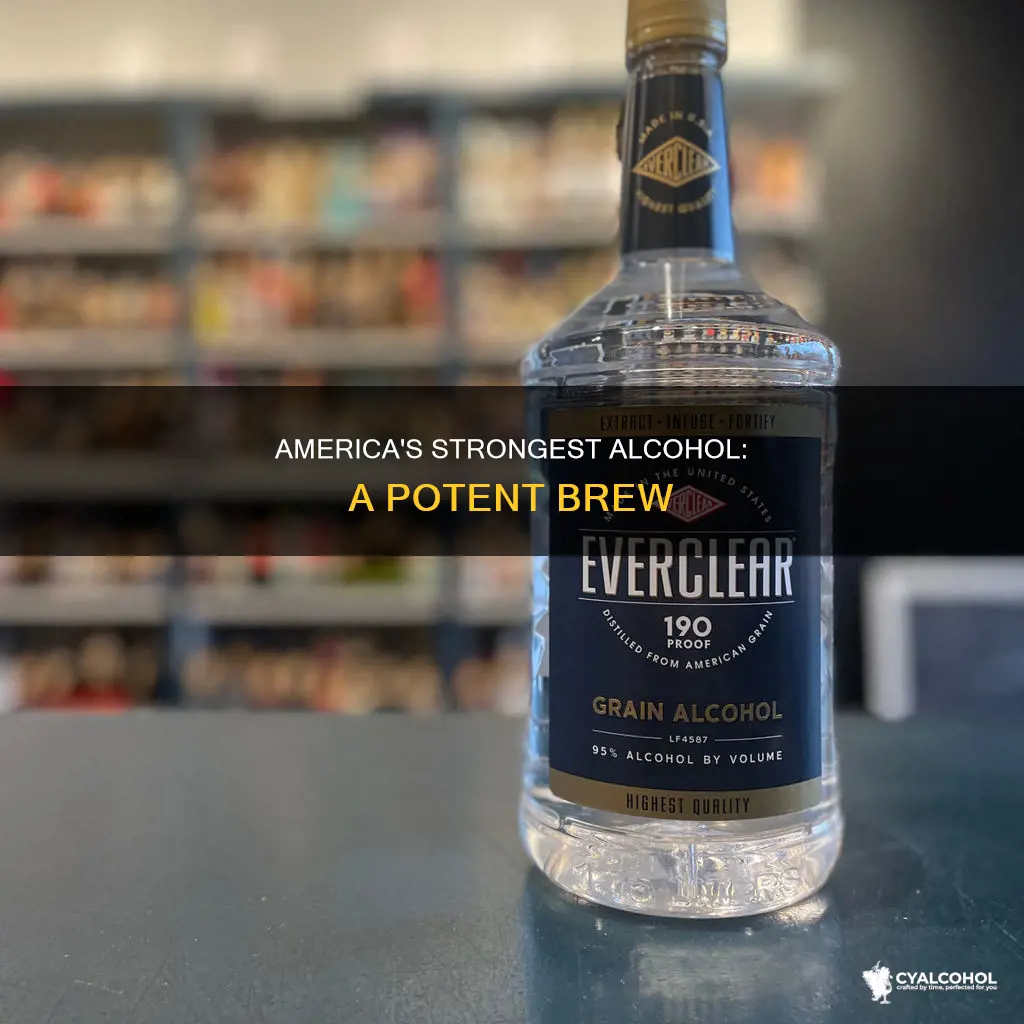 America's Strongest Alcohol: A Potent Brew | CyAlcohol