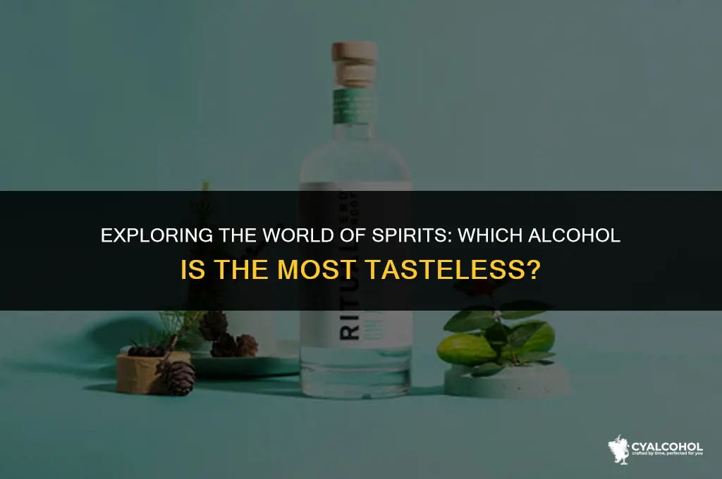 Exploring The World Of Spirits: Which Alcohol Is The Most Tasteless ...