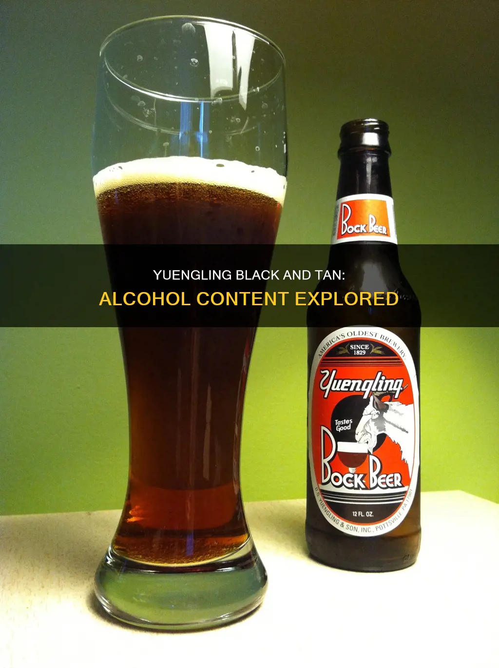 Yuengling Black And Tan: Alcohol Content Explored | CyAlcohol