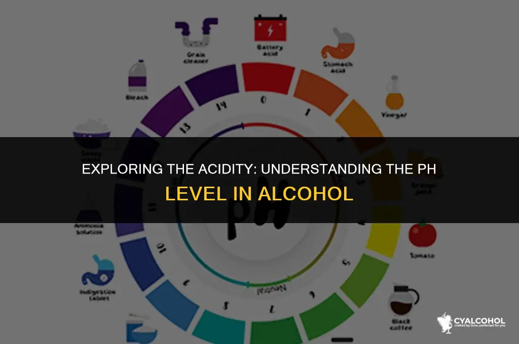 Exploring The Acidity: Understanding The Ph Level In Alcohol | CyAlcohol
