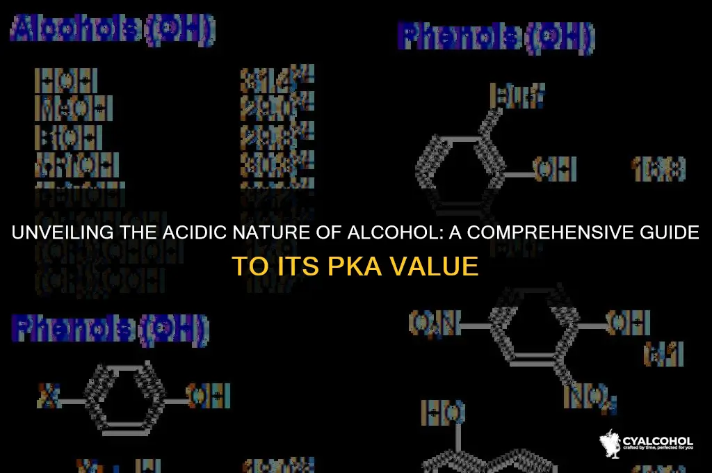 Unveiling The Acidic Nature Of Alcohol: A Comprehensive Guide To Its ...