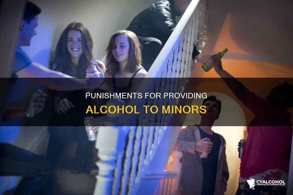 Punishments For Providing Alcohol To Minors | CyAlcohol