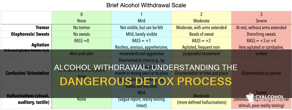 Alcohol Withdrawal: Understanding The Dangerous Detox Process | CyAlcohol