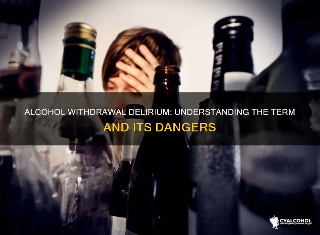 Alcohol Withdrawal Delirium: Understanding The Term And Its Dangers ...
