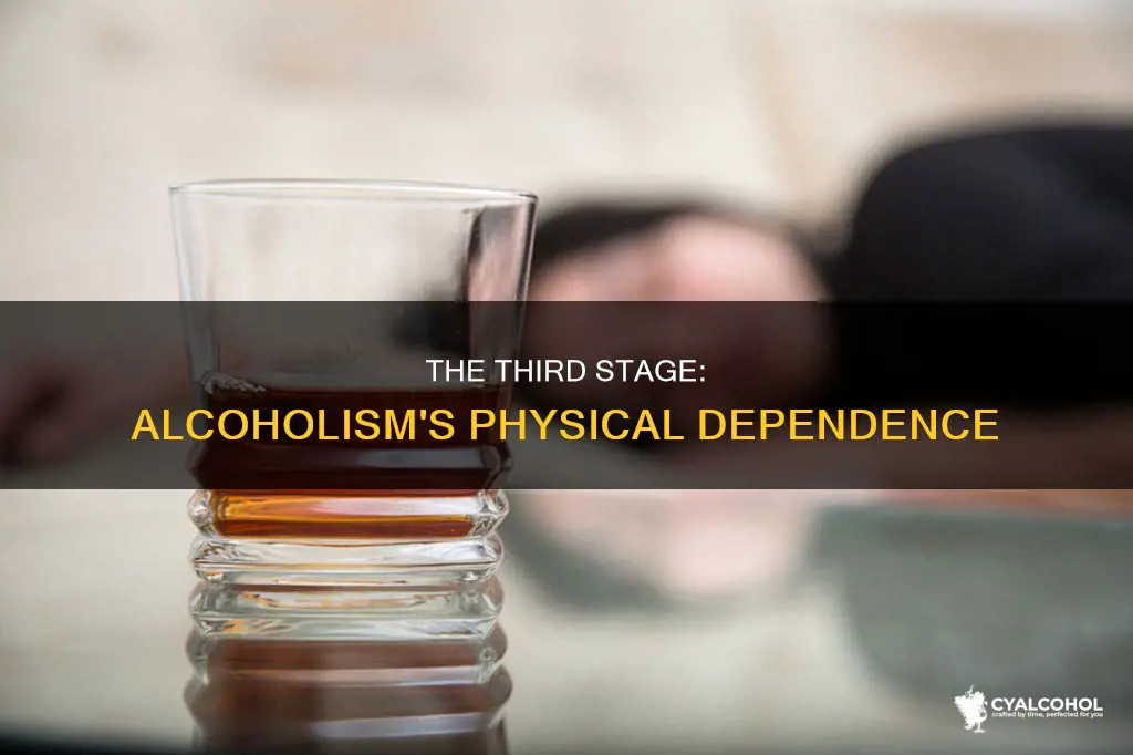 The Third Stage: Alcoholism's Physical Dependence | CyAlcohol
