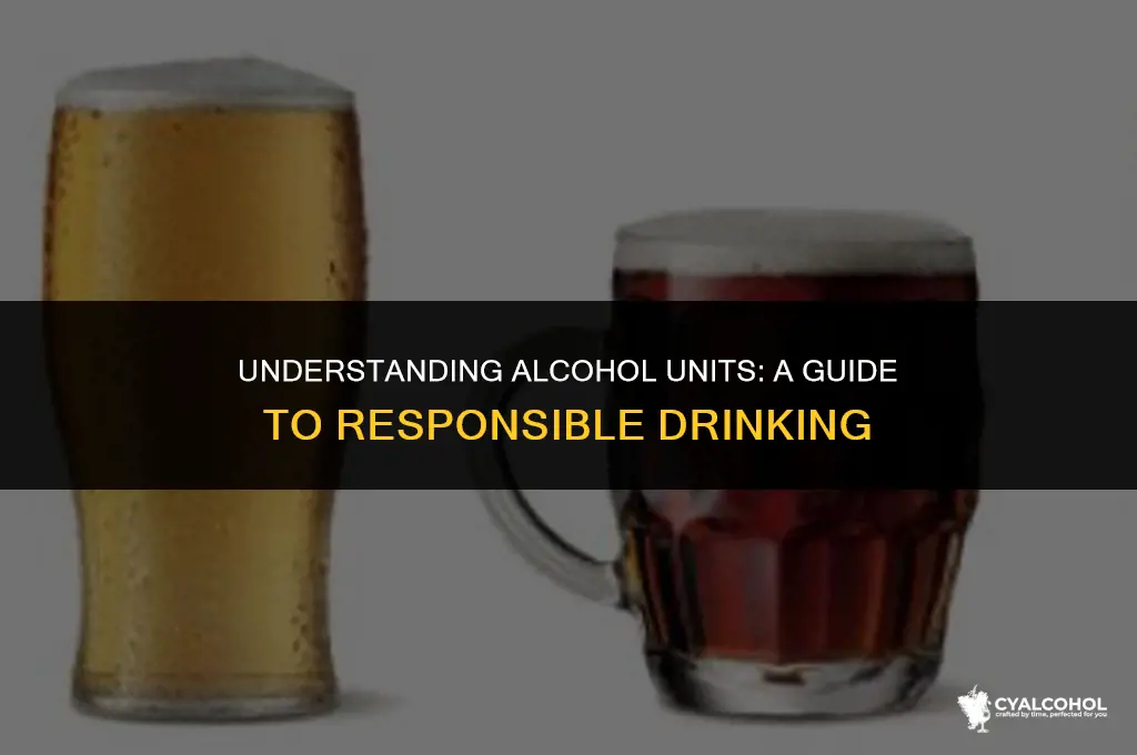 Understanding Alcohol Units: A Guide To Responsible Drinking | CyAlcohol