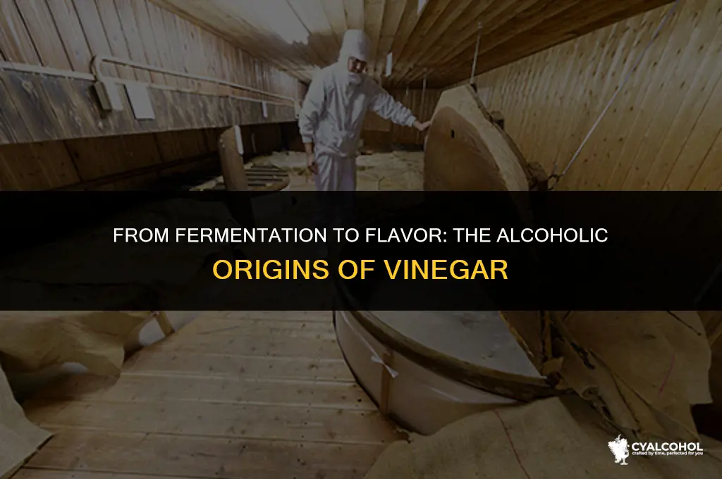 From Fermentation To Flavor: The Alcoholic Origins Of Vinegar | CyAlcohol
