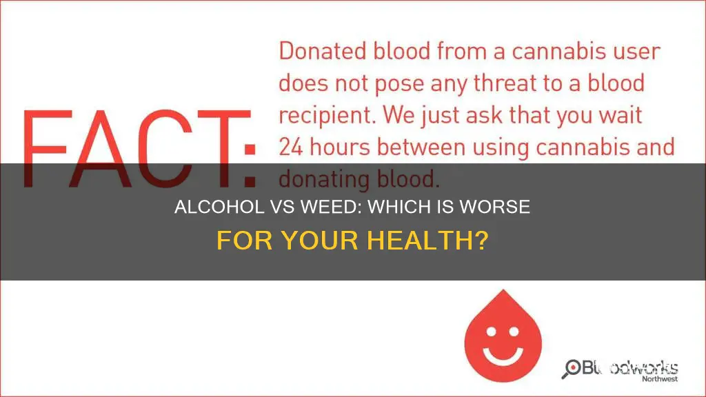 Alcohol Vs Weed: Which Is Worse For Your Health? | CyAlcohol