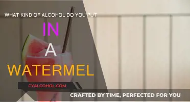 Alcohol Evolution: 1800S Drinks And Their Unique Flavors | CyAlcohol