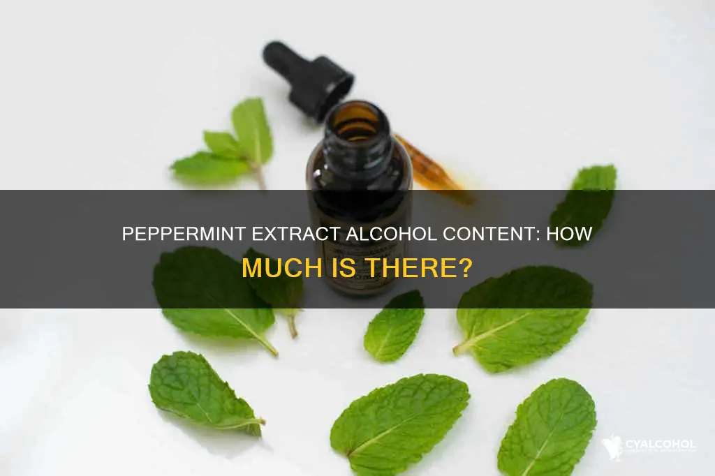 Peppermint Extract Alcohol Content: How Much Is There? | CyAlcohol