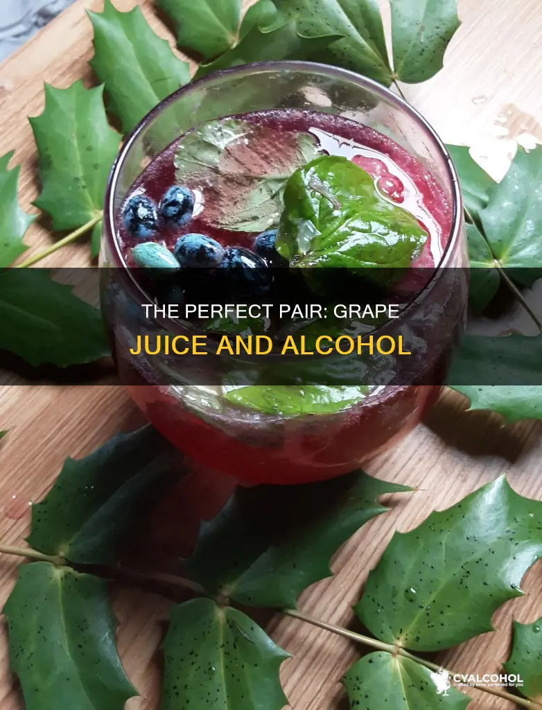 The Perfect Pair: Grape Juice And Alcohol | CyAlcohol