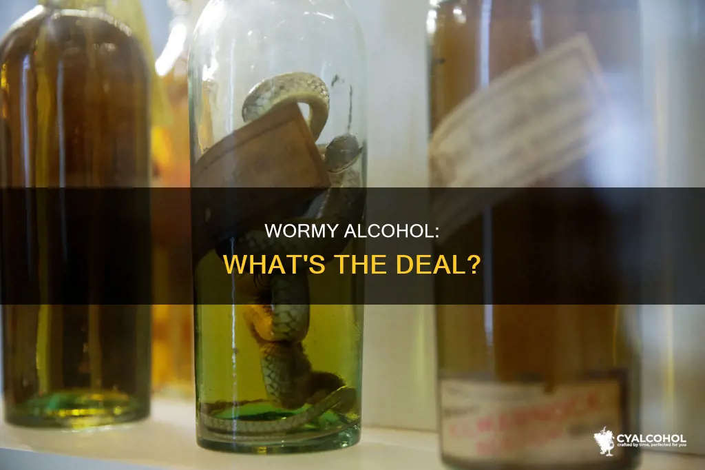 Wormy Alcohol: What's The Deal? | CyAlcohol