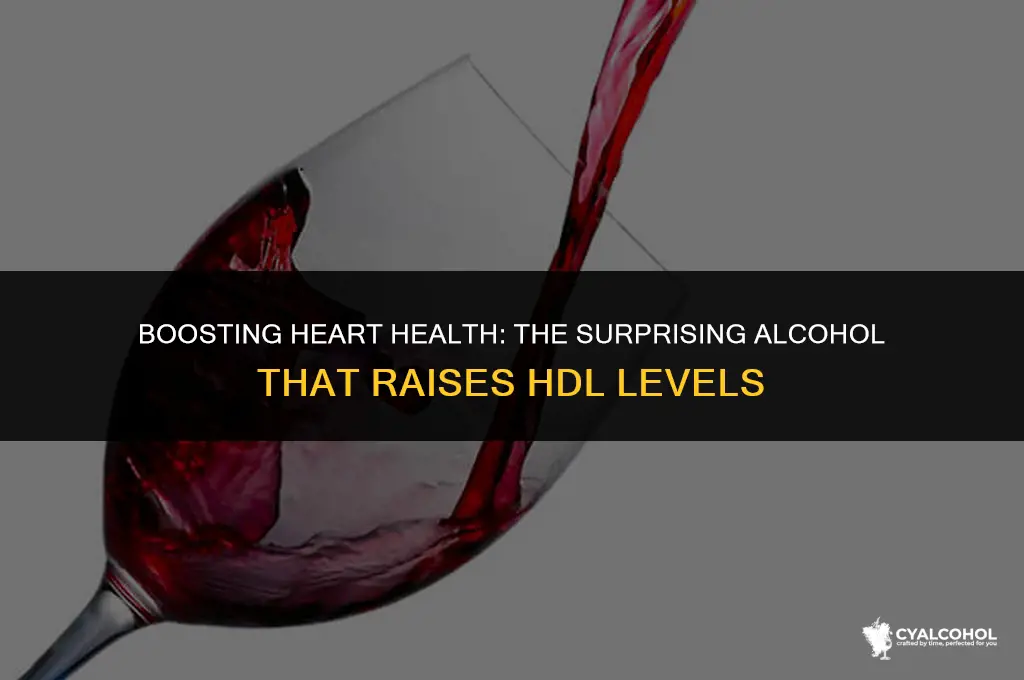 Boosting Heart Health: The Surprising Alcohol That Raises Hdl Levels ...