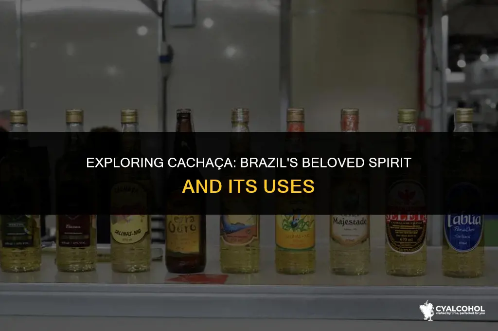 Exploring Cachaça: Brazil's Beloved Spirit And Its Uses | CyAlcohol
