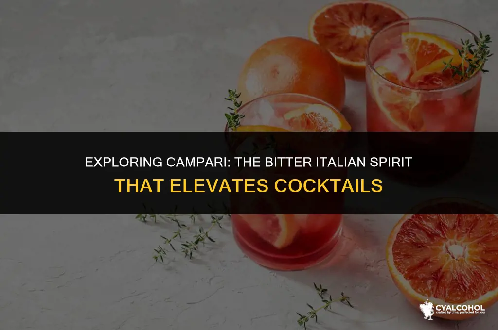 Exploring Campari: The Bitter Italian Spirit That Elevates Cocktails ...