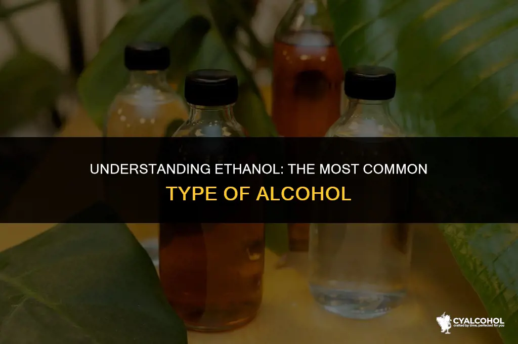 Understanding Ethanol: The Most Common Type Of Alcohol | CyAlcohol