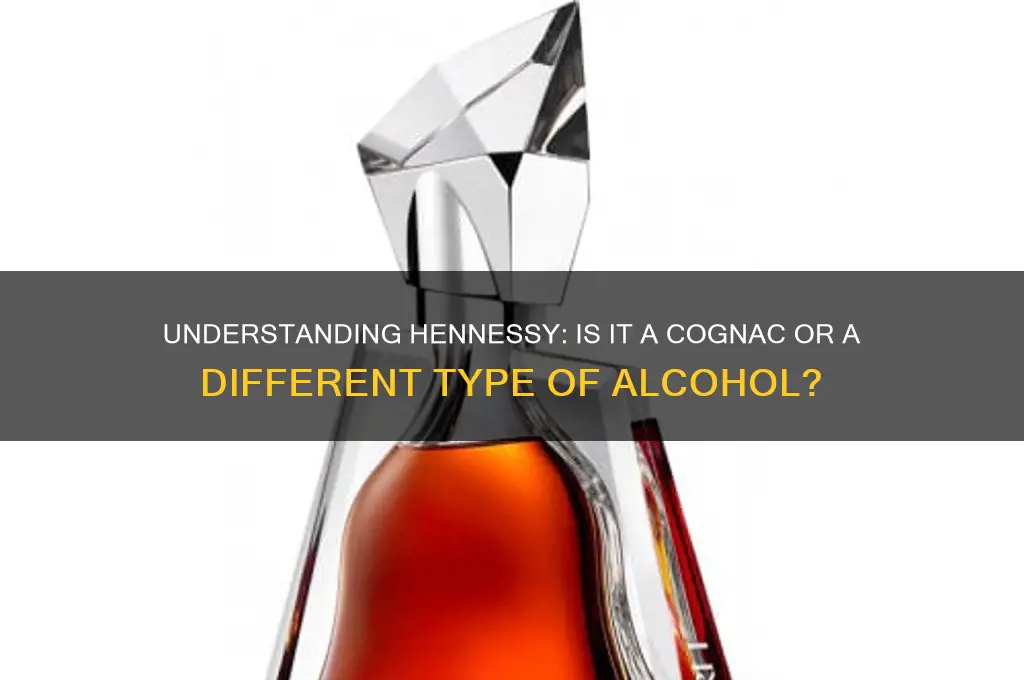Understanding Hennessy: Is It A Cognac Or A Different Type Of Alcohol ...