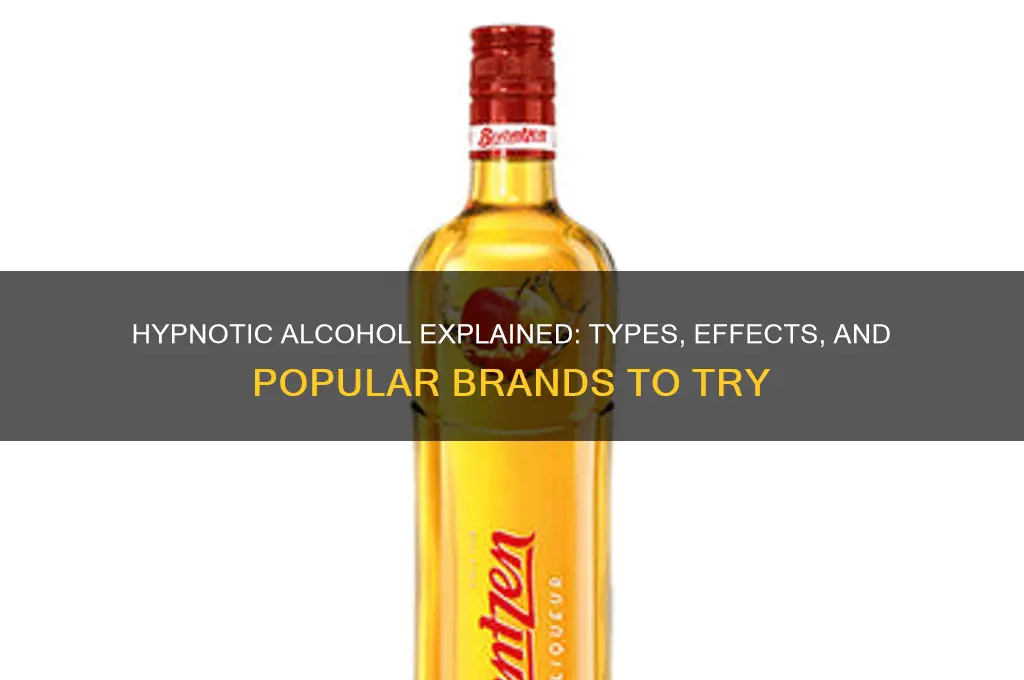 Hypnotic Alcohol Explained: Types, Effects, And Popular Brands To Try ...