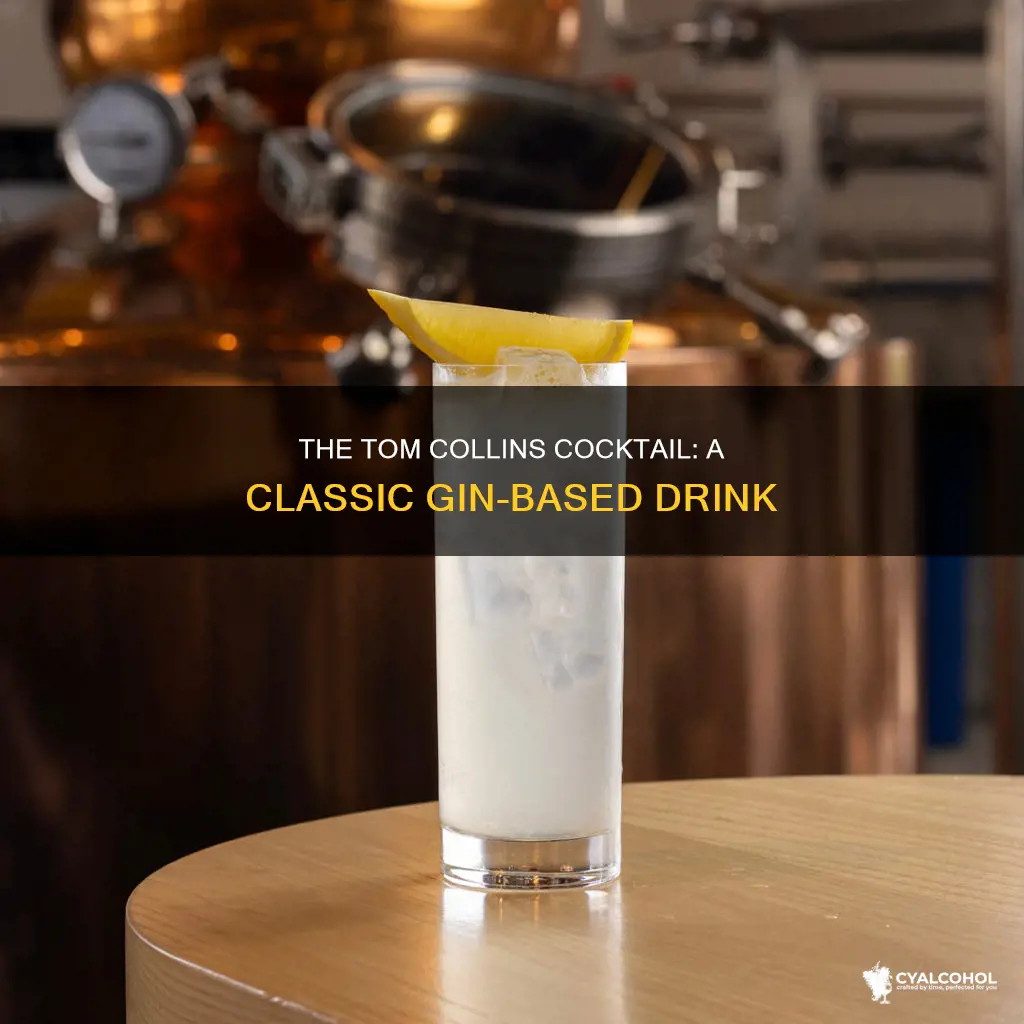 The Tom Collins Cocktail: A Classic Gin-Based Drink | CyAlcohol