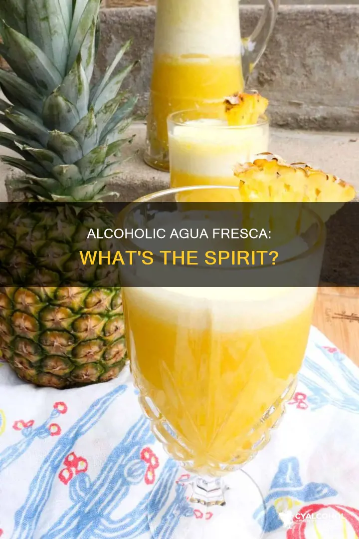 Alcoholic Agua Fresca: What's The Spirit? | CyAlcohol