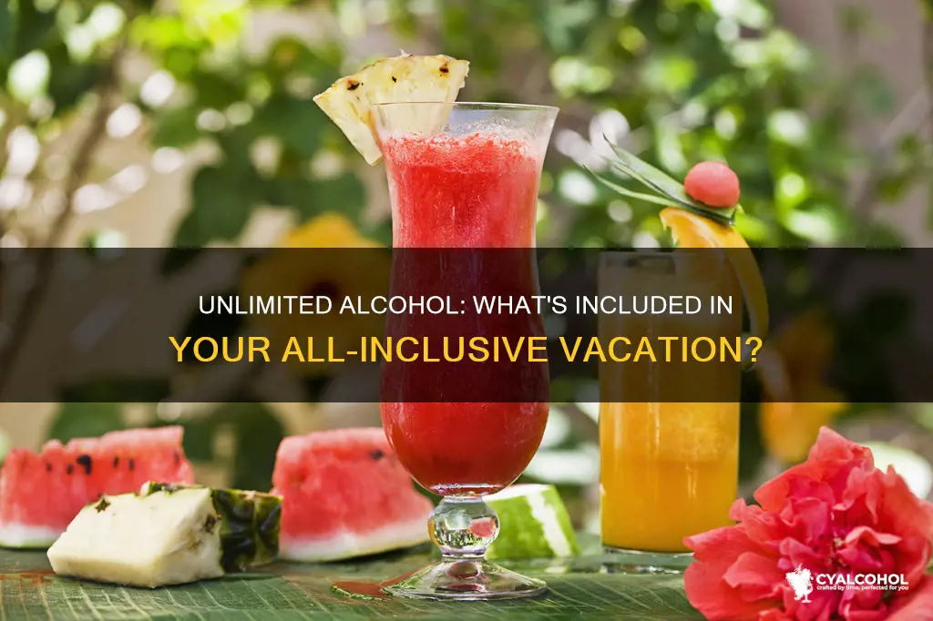Unlimited Alcohol: What's Included In Your All-Inclusive Vacation ...