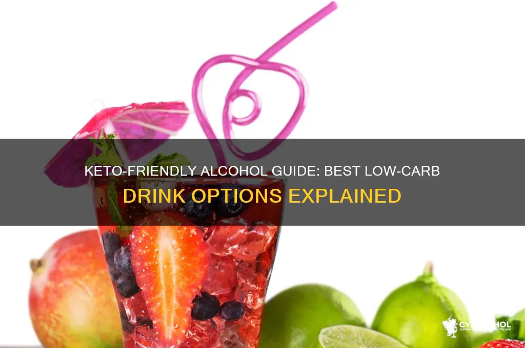 Keto-Friendly Alcohol Guide: Best Low-Carb Drink Options Explained ...