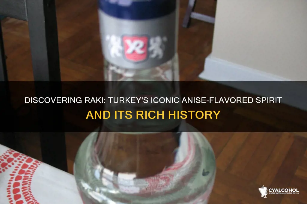 Discovering Raki: Turkey's Iconic Anise-Flavored Spirit And Its Rich ...
