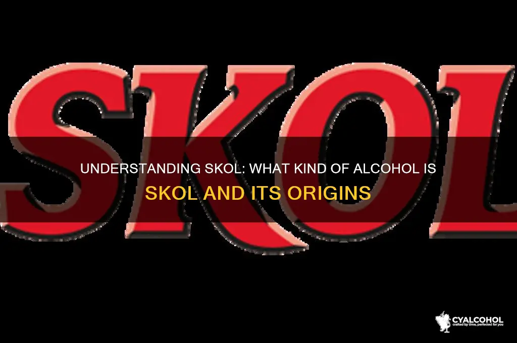Understanding Skol: What Kind Of Alcohol Is Skol And Its Origins ...