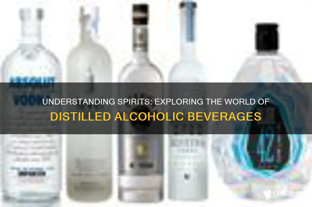 Understanding Spirits: Exploring The World Of Distilled Alcoholic ...