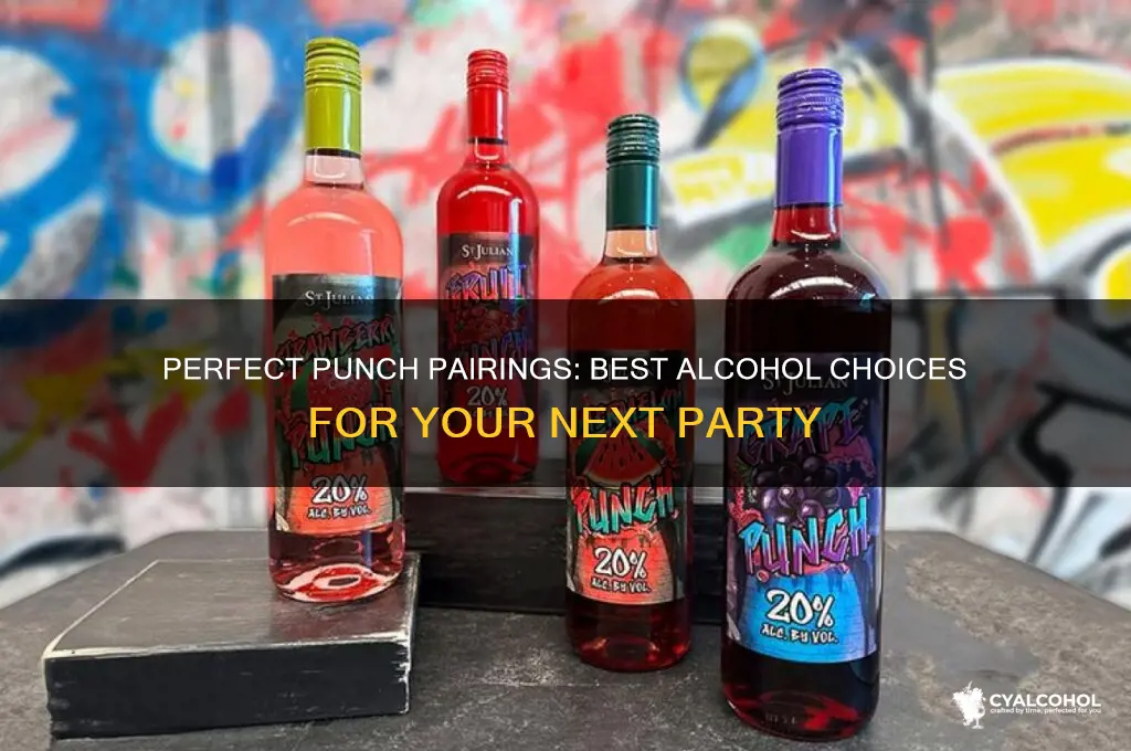 Perfect Punch Pairings: Best Alcohol Choices For Your Next Party ...
