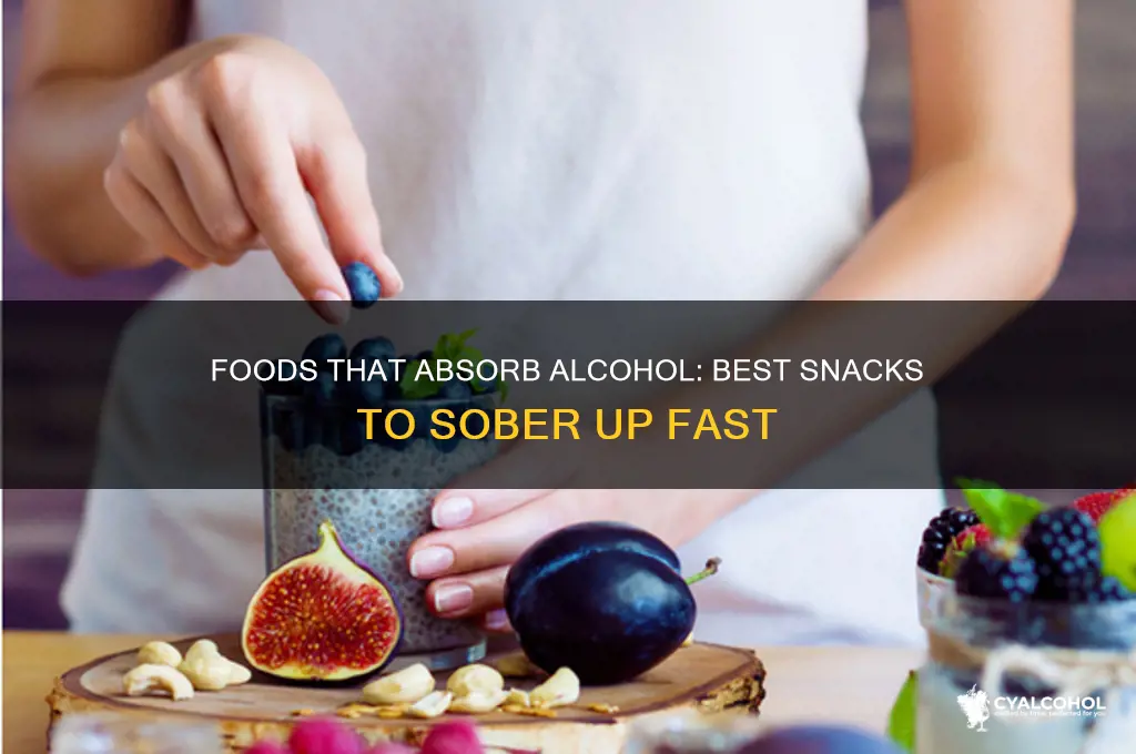 Foods That Absorb Alcohol: Best Snacks To Sober Up Fast | CyAlcohol