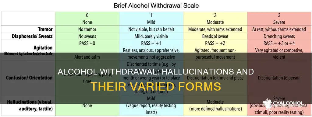 Alcohol Withdrawal: Hallucinations And Their Varied Forms | CyAlcohol