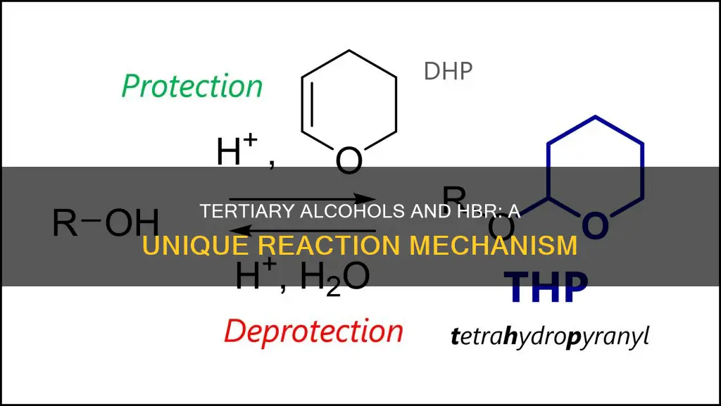 Tertiary Alcohols And Hbr: A Unique Reaction Mechanism | CyAlcohol