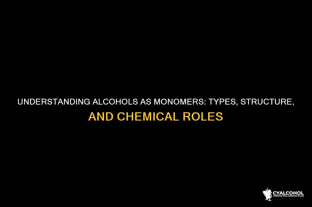 Understanding Alcohols As Monomers: Types, Structure, And Chemical ...