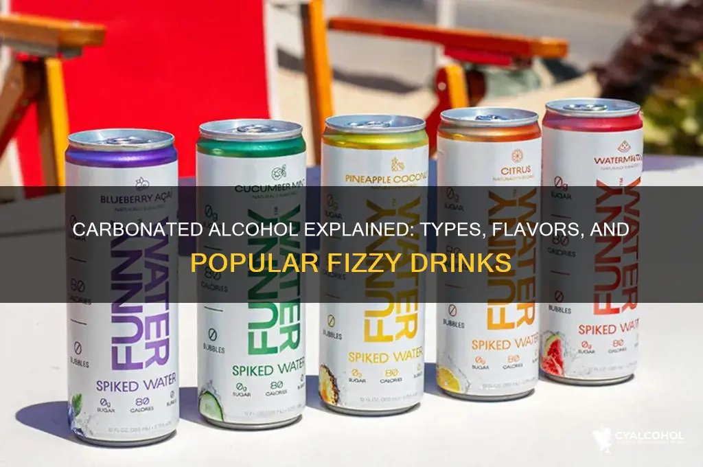 Carbonated Alcohol Explained: Types, Flavors, And Popular Fizzy Drinks ...
